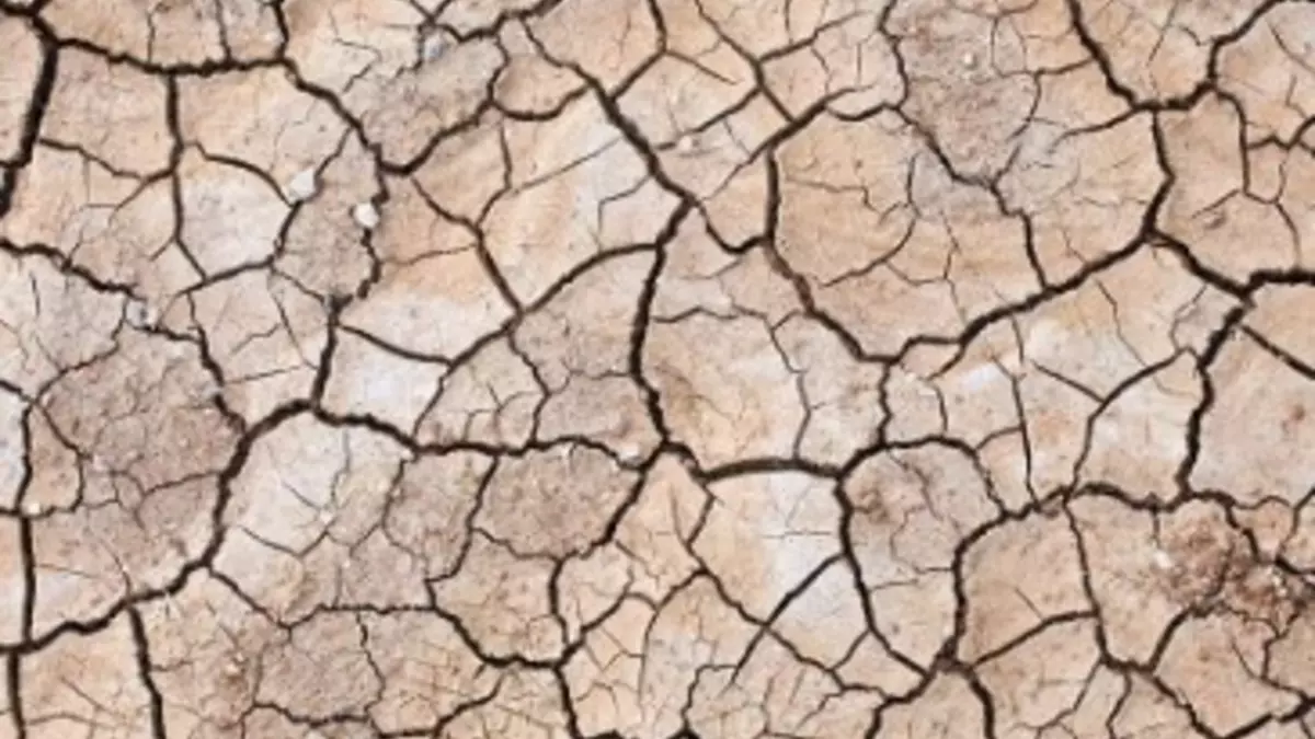 Psoriasis – Schuppenflechte | OMIDA